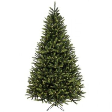 KINGSTON SPRUCE TREE - Holiday Bliss
